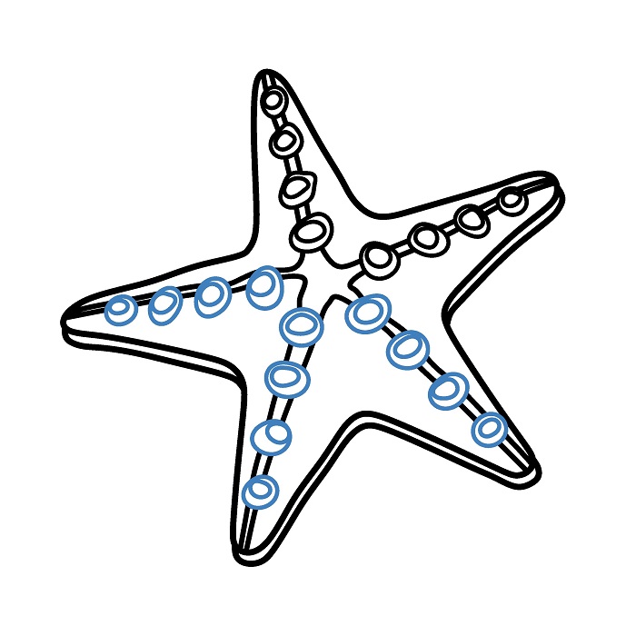 Step 6 